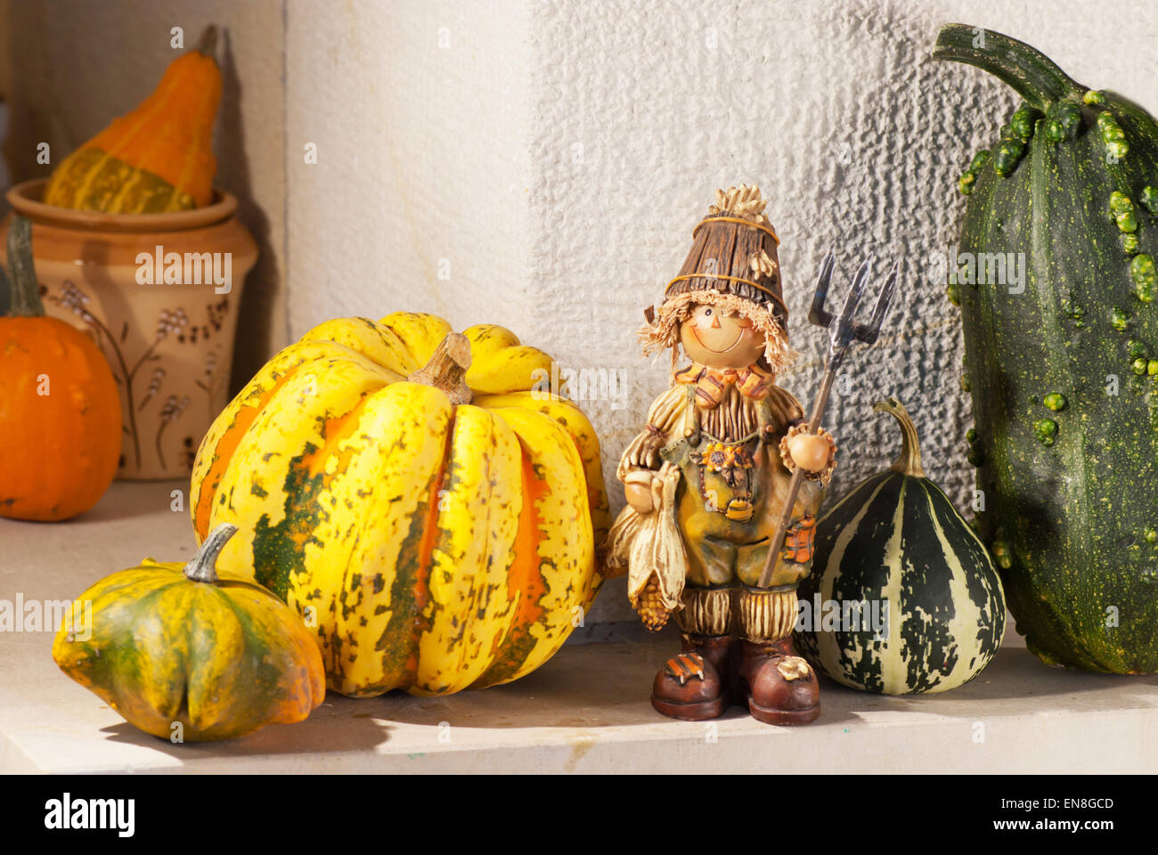 pumpkins and cucumber Stock Photo - Alamy