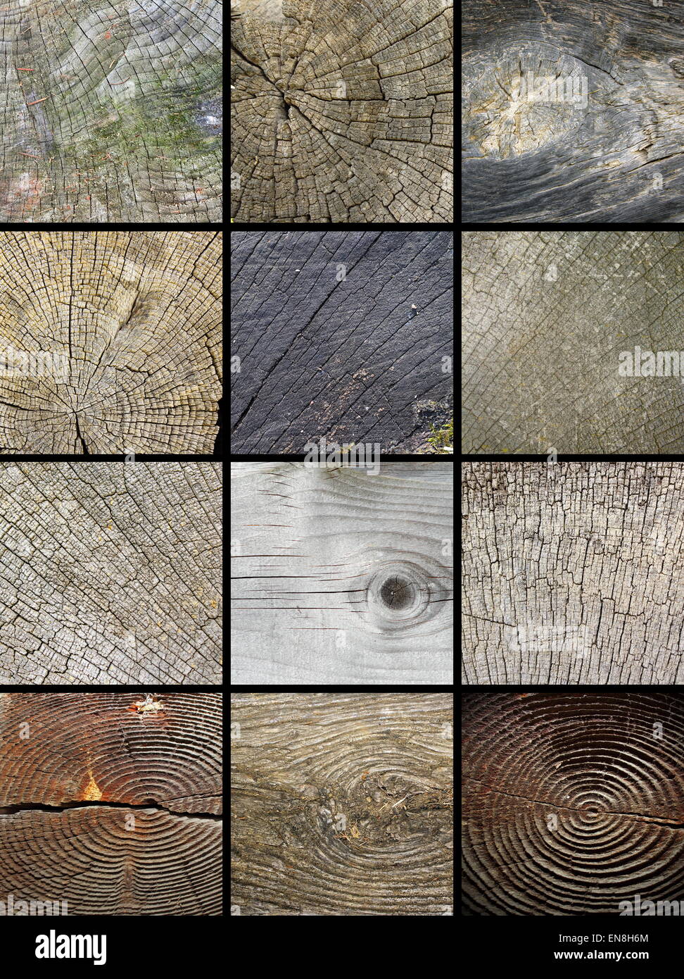 collage of wooden cut trunks textures ready for your design Stock Photo ...