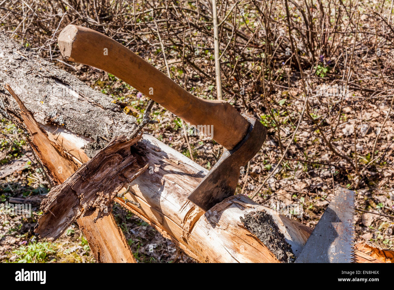 Garden axe hi-res stock photography and images - Alamy
