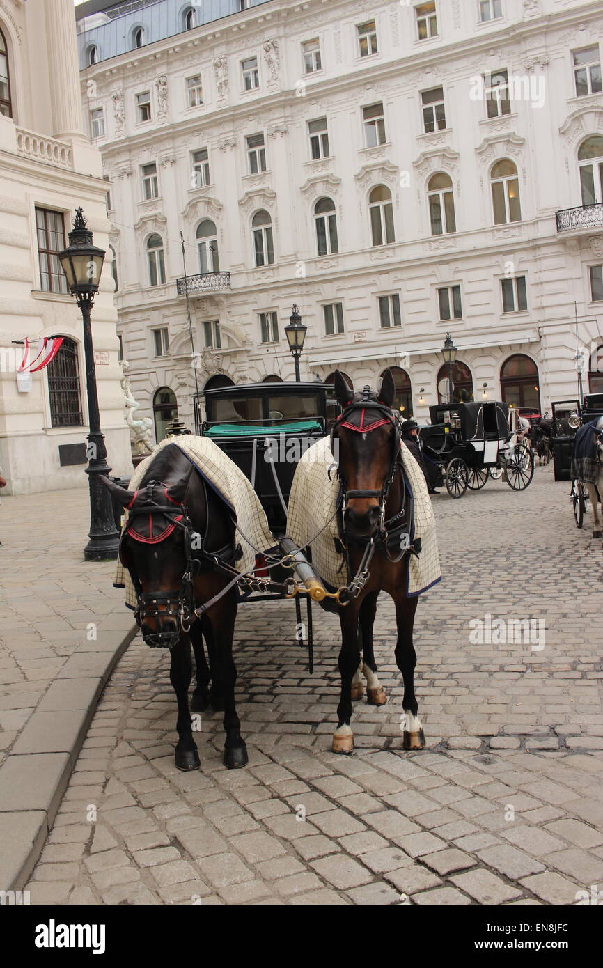 Horse drawn carriage vienna hi-res stock photography and images - Alamy