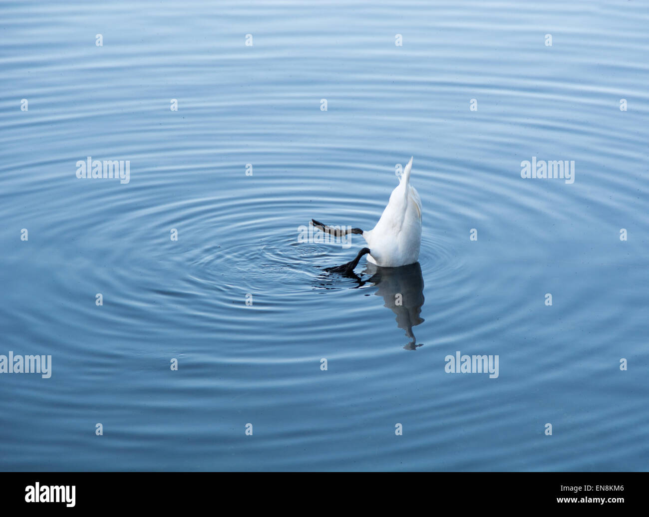 Funny bottoms up hi-res stock photography and images - Alamy