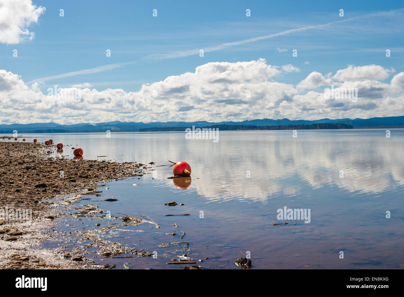 Fern Ridge Reservoir Buoy Stock Photo - Alamy