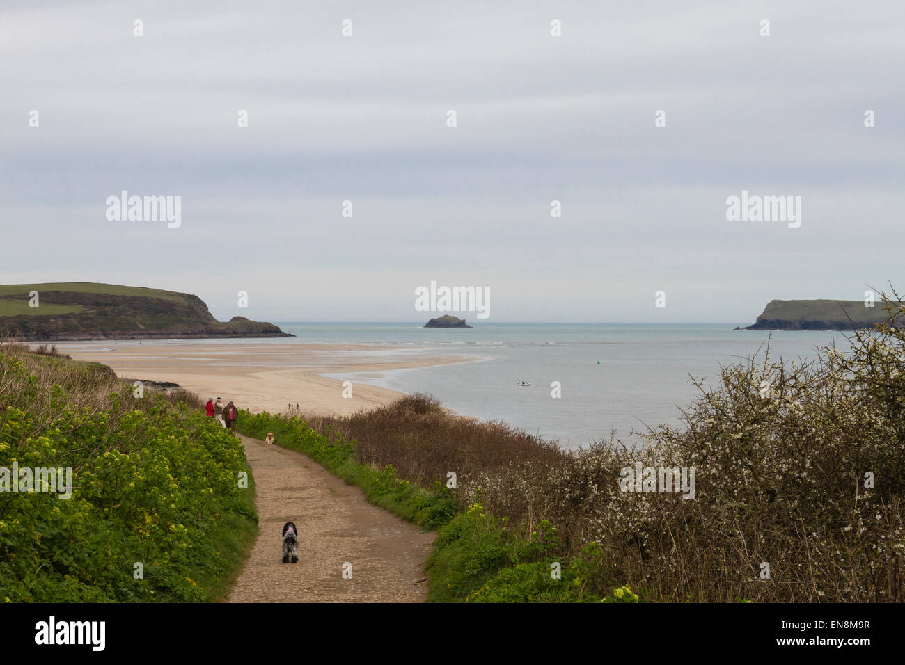 The River Camel estuary in Cornwall is a haven for water borne ...