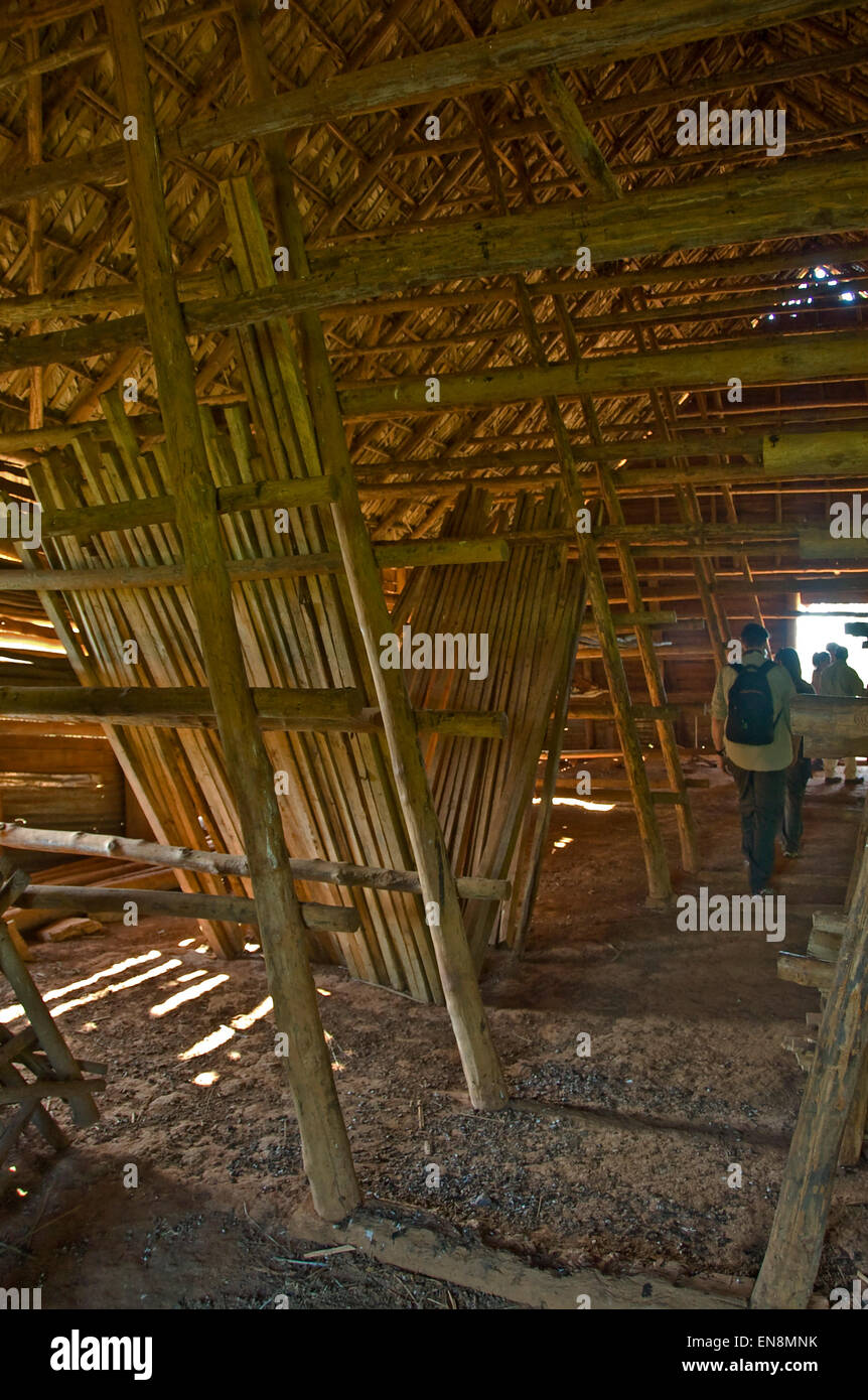 Vertical view inside a drying barn at a tobacco farm in Vinales Stock ...