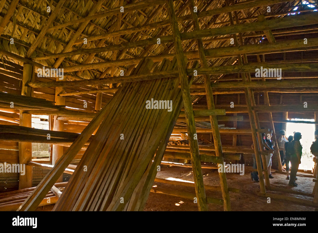 Horizontal view inside a drying barn at a tobacco farm in Vinales Stock ...