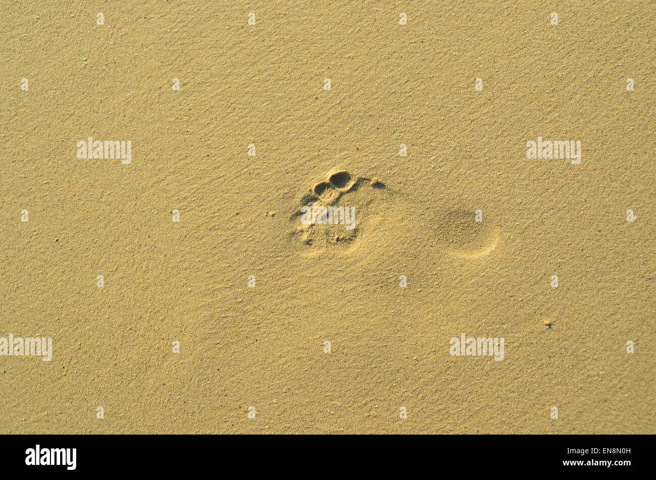 Foot mark in the beach hi-res stock photography and images - Alamy