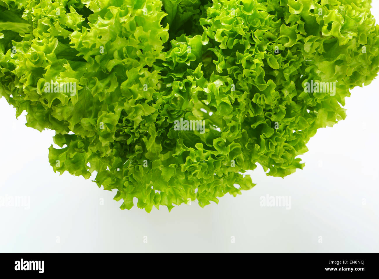 Curly lettuce hi-res stock photography and images - Alamy