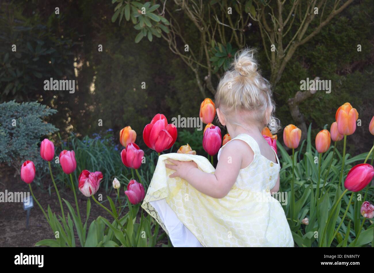 Toddler girl child hi-res stock photography and images - Alamy