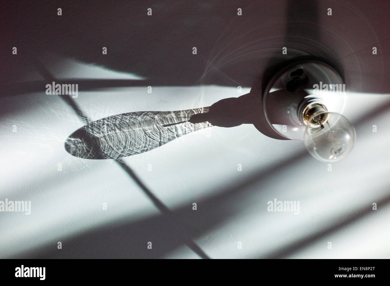 Early morning sun creates a shadow pattern from an incandescent ...