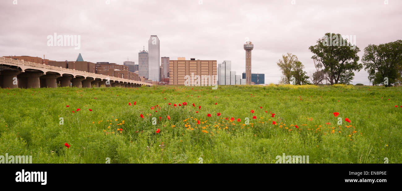 Spring brings wildflowers to the Trinity River Basin that surrounds ...
