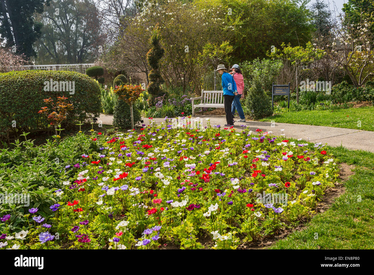 Beautiful spring flowers in bloom Stock Photo - Alamy