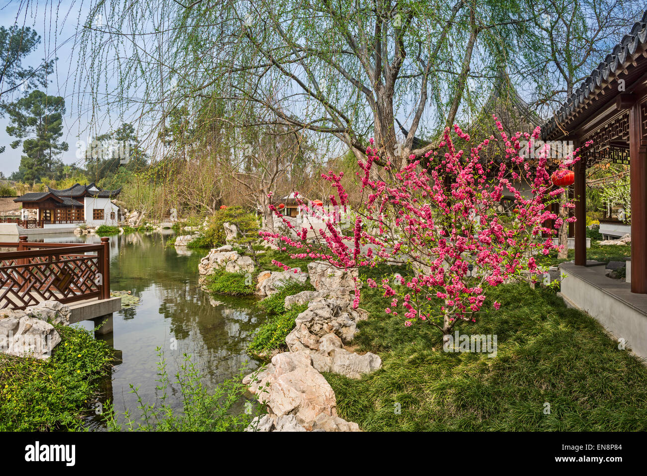 Chinese tree hi-res stock photography and images - Alamy