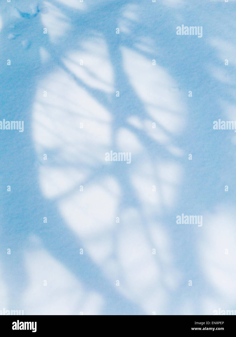Trees create abstract shadow patterns in fresh snow Stock Photo - Alamy