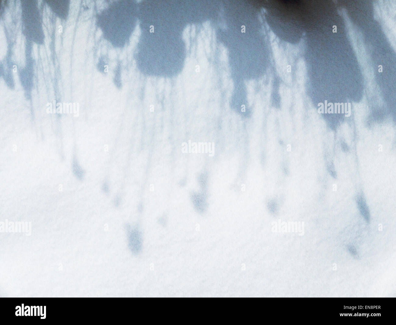 Trees create abstract shadow patterns in fresh snow Stock Photo - Alamy