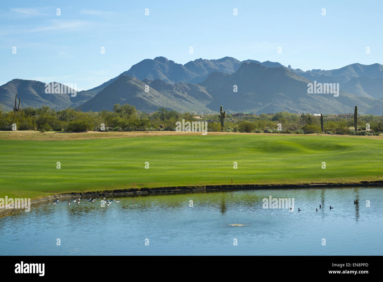 The fairway of a golf course in the southwestern desert featuring a ...
