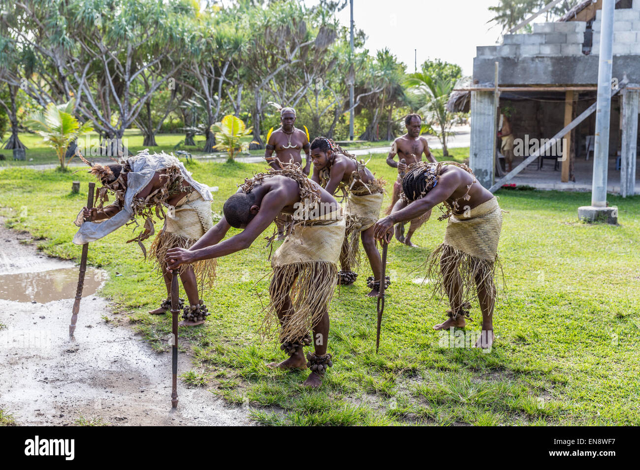 Traditional dancers perform a welcome dance at Espiritu Santo, Vanuatu ...