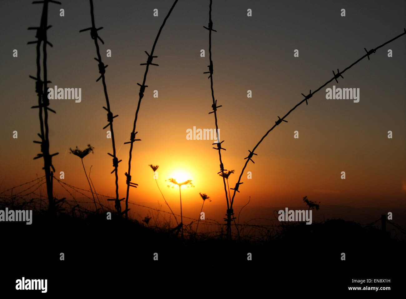 Sunset through barbed wire Stock Photo - Alamy