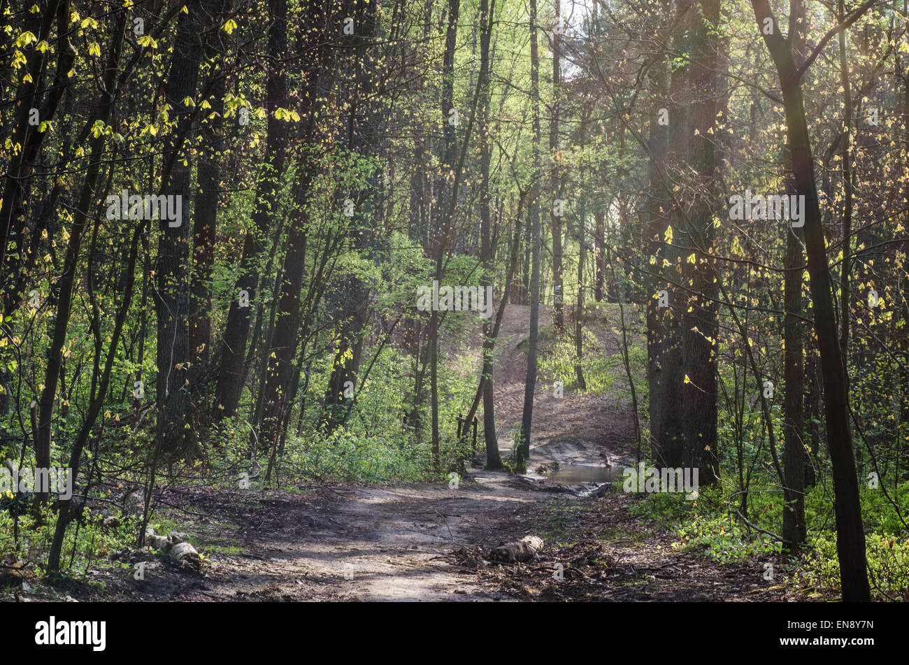 Sunny footpath hi-res stock photography and images - Alamy
