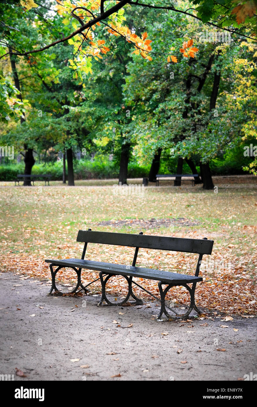 Empty bench in park in Fall Stock Photo - Alamy