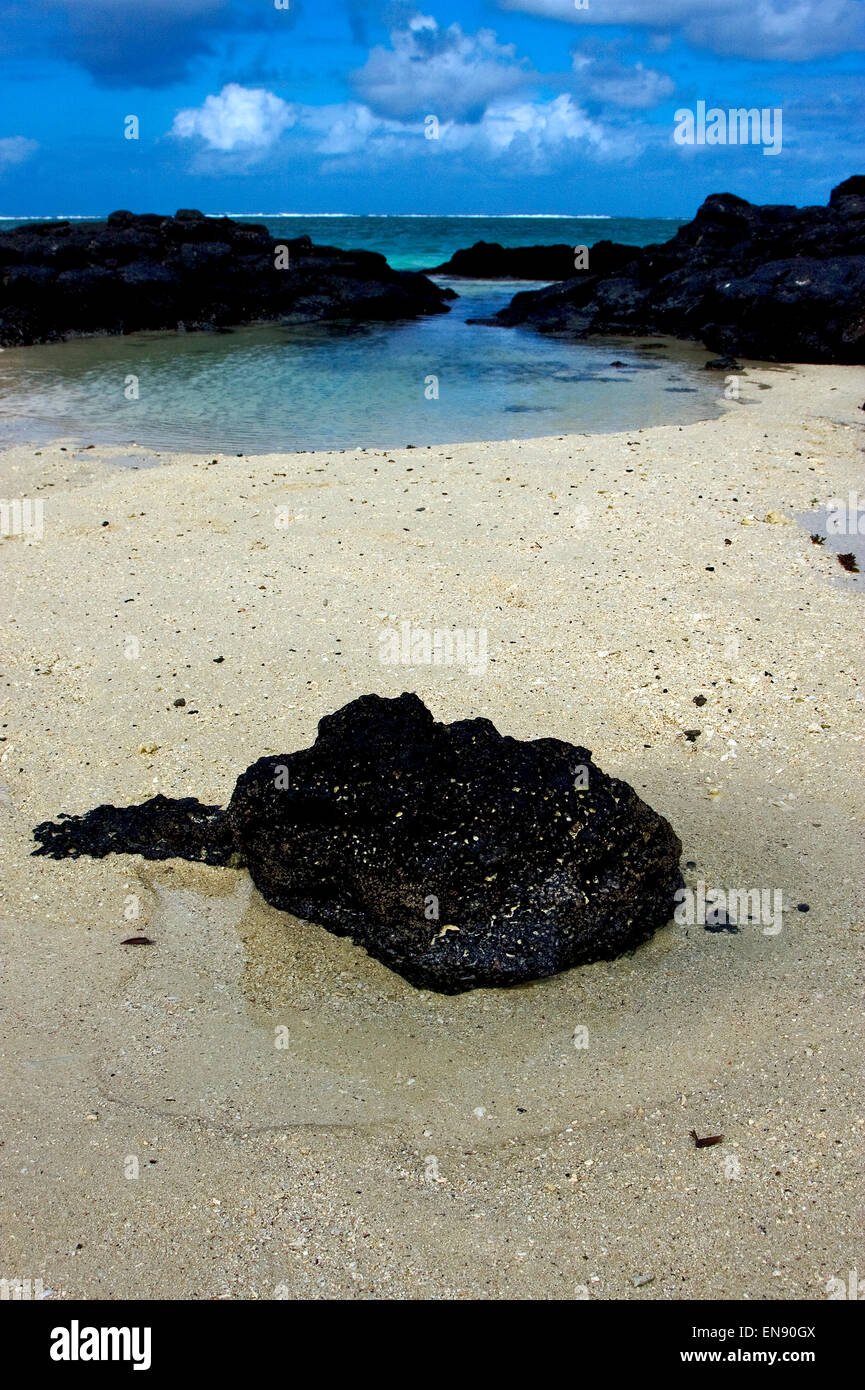 beach rock and stone in belle mare mauritius Stock Photo - Alamy