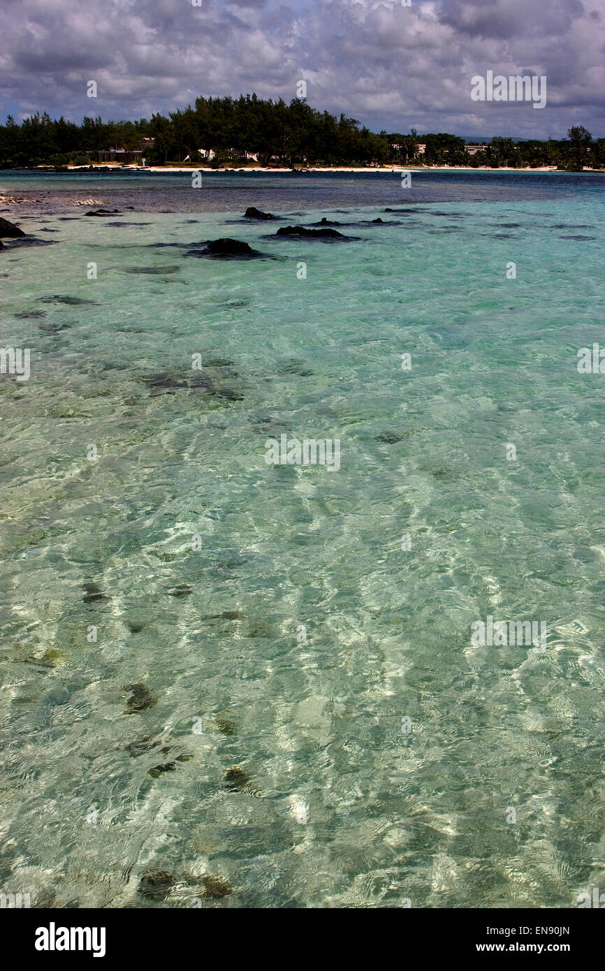 beach rock and stone in deus cocos mauritius Stock Photo - Alamy