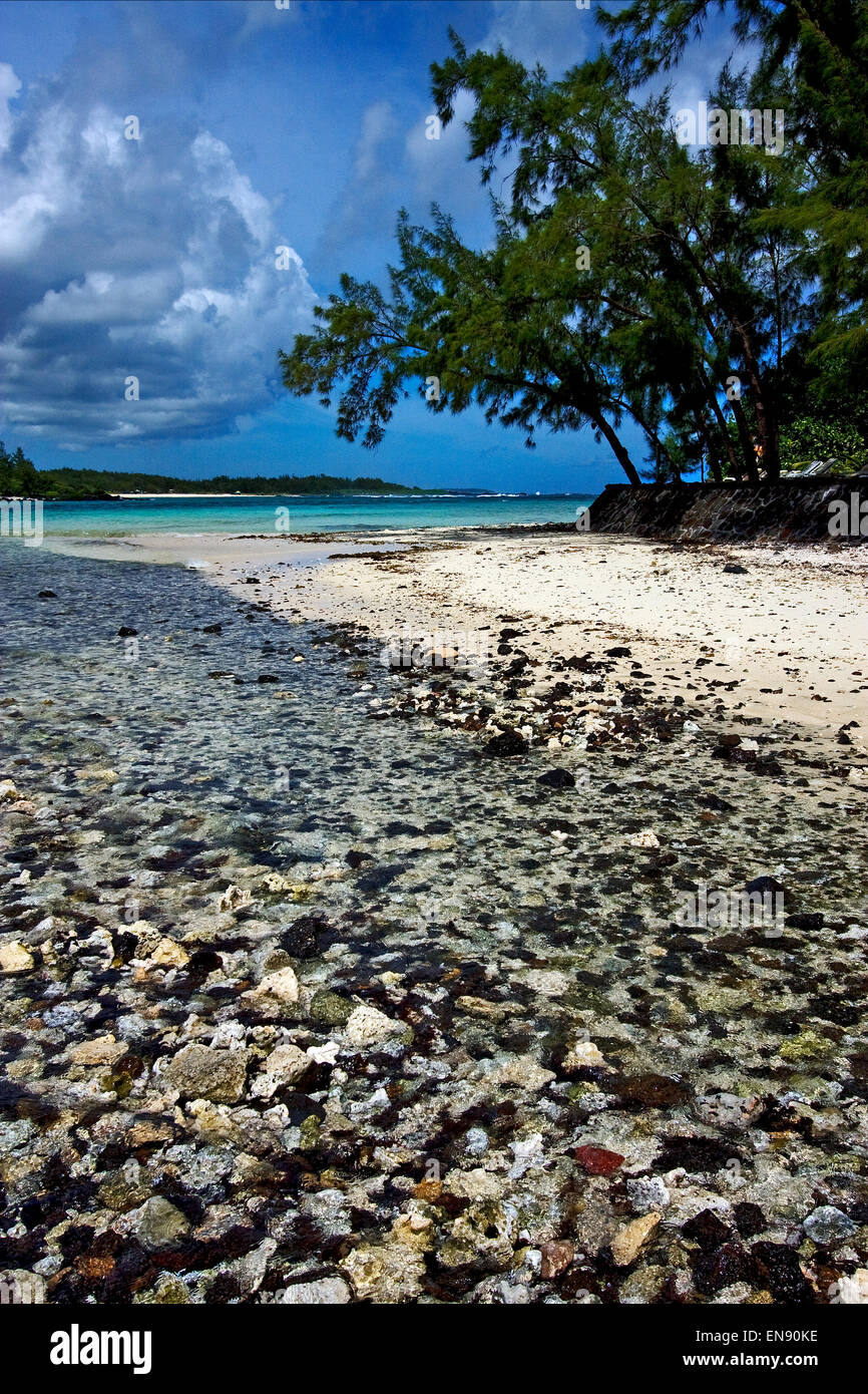 beach rock and stone in ile du cerfs mauritius Stock Photo - Alamy