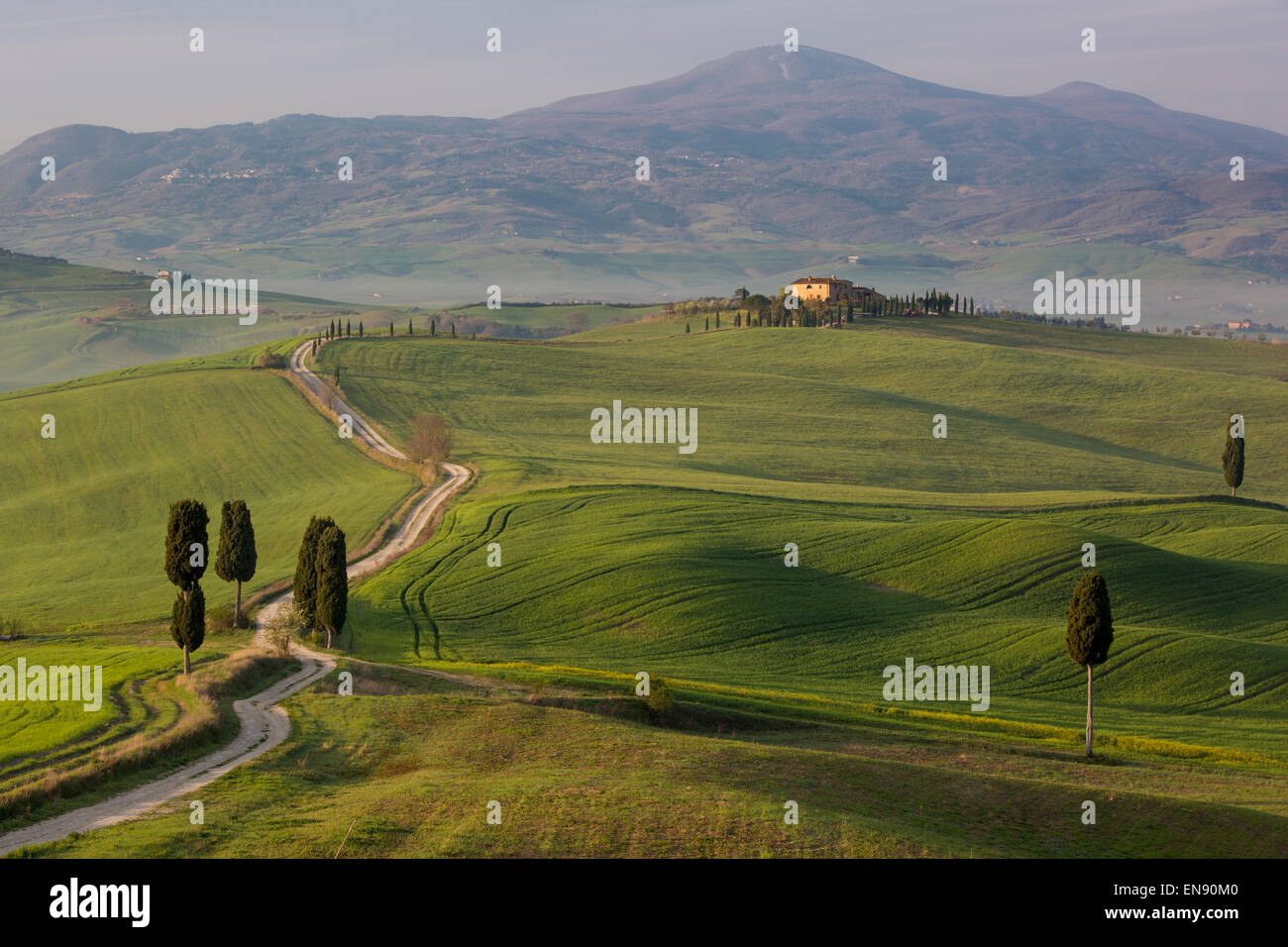 Tuscany cypress tree road hi-res stock photography and images - Alamy