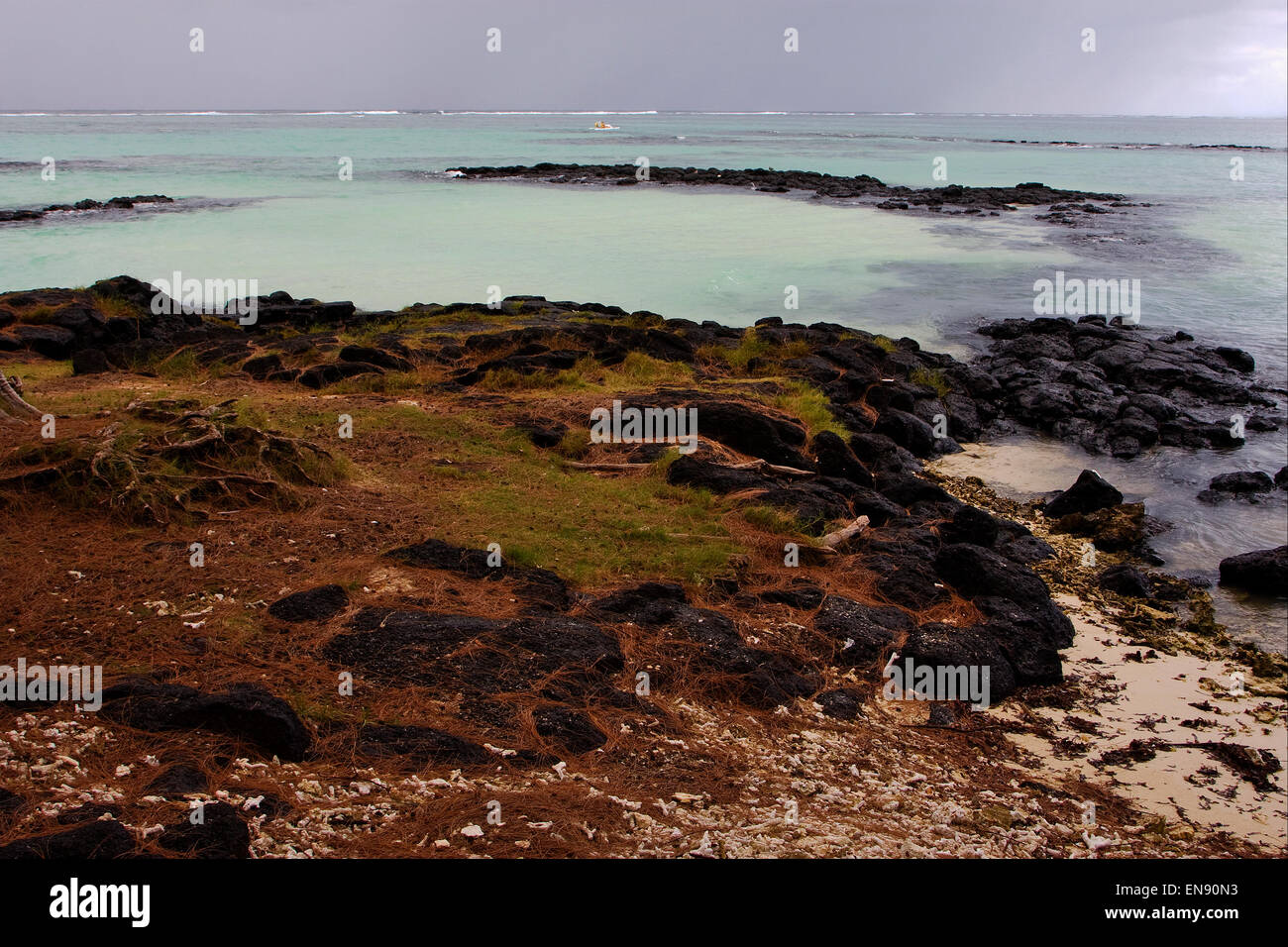 beach rock and stone in belle mare mauritius Stock Photo - Alamy