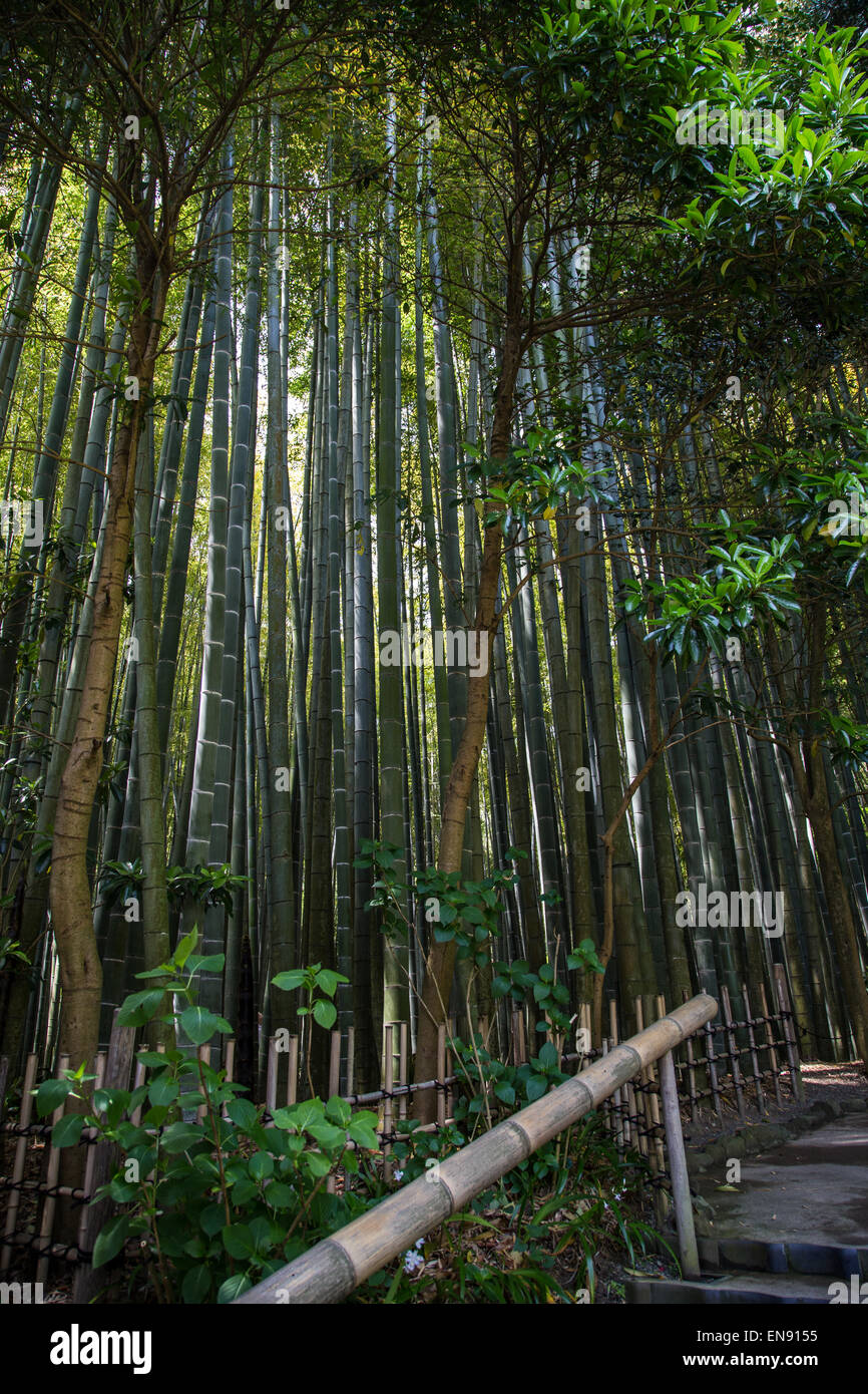 Hokukuji temple hi-res stock photography and images - Alamy