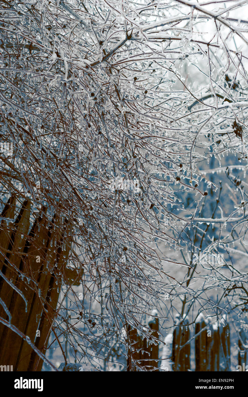 Landscape with trees and fence covered with ice Stock Photo - Alamy