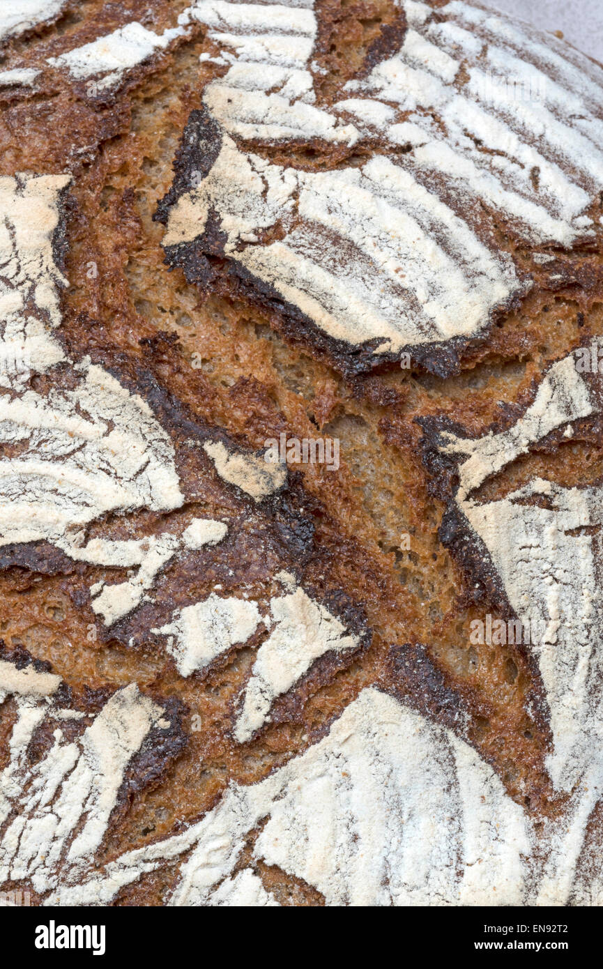 Crust detail hi-res stock photography and images - Alamy