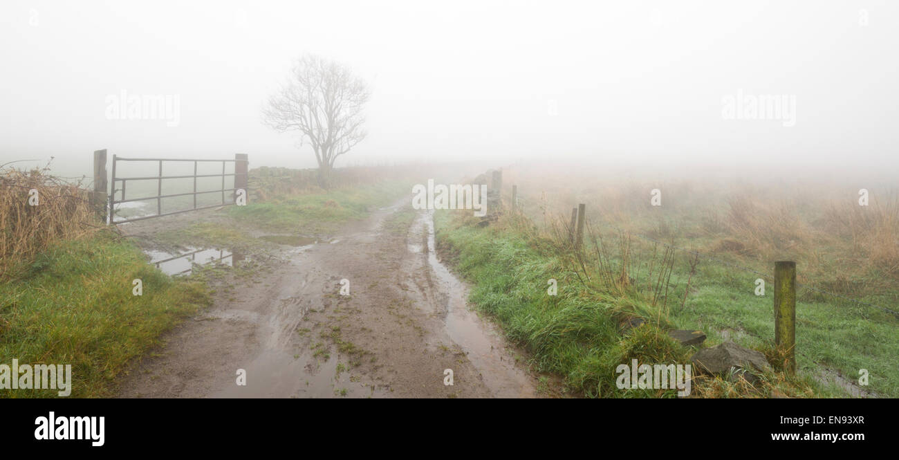 Thick fog on a country lane Stock Photo - Alamy