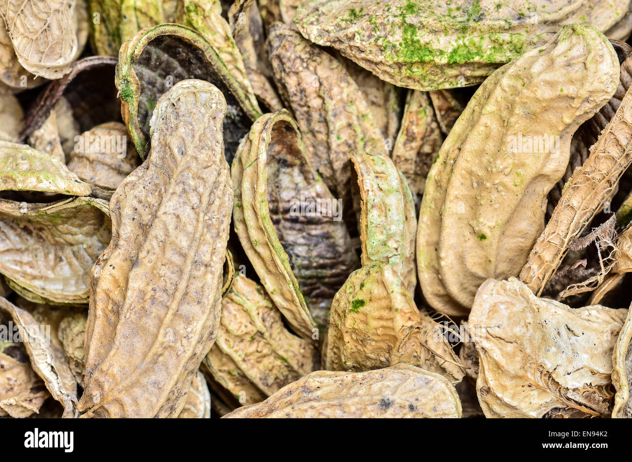 peanuts peel stack Stock Photo - Alamy