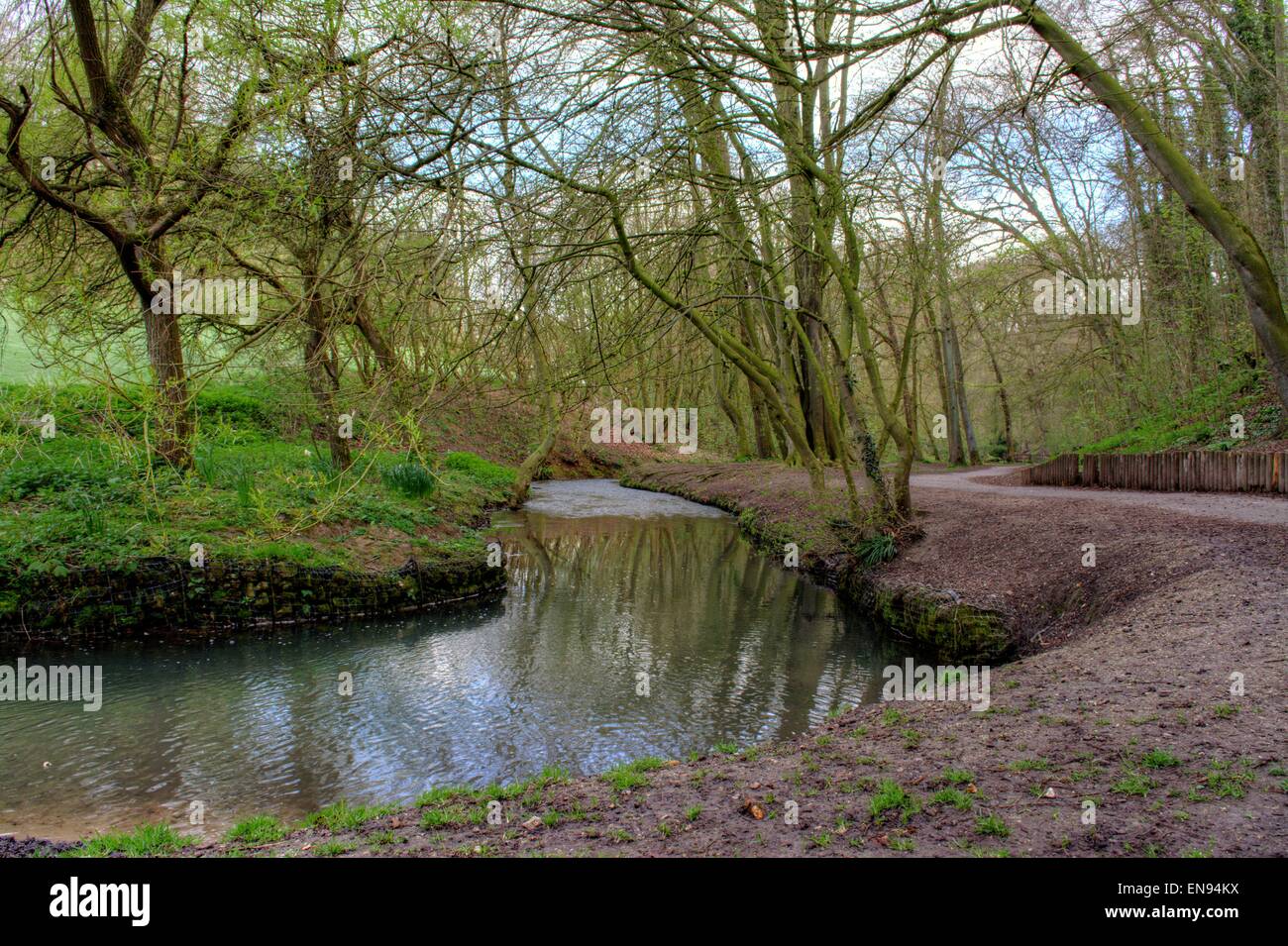 Stream river woodland trees hi-res stock photography and images - Alamy