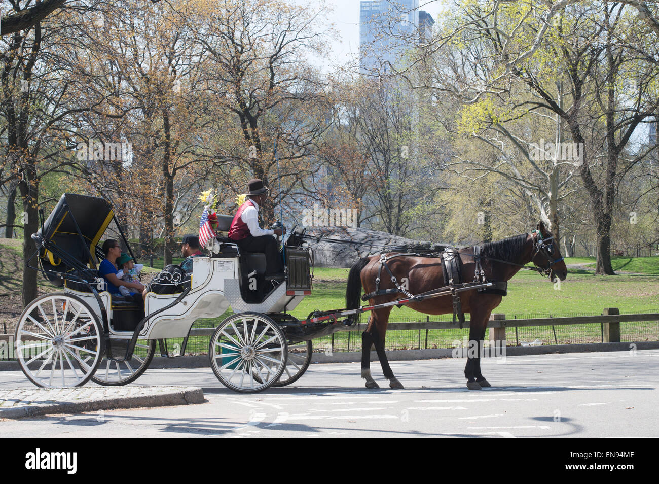 People within horse drawn carriage Central Park, NYC, USA Stock Photo ...