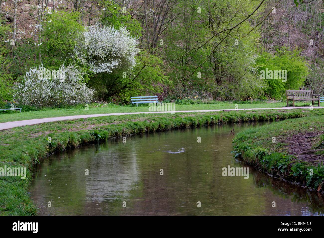 Seat and trees hi-res stock photography and images - Alamy