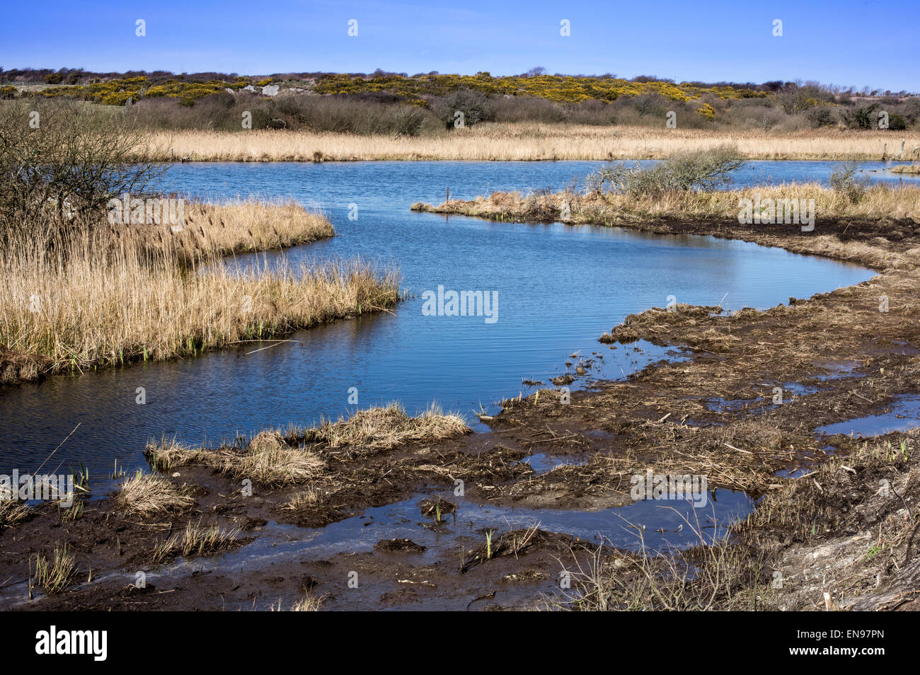 A channel has been dredged to create an island and sloping shore at a ...