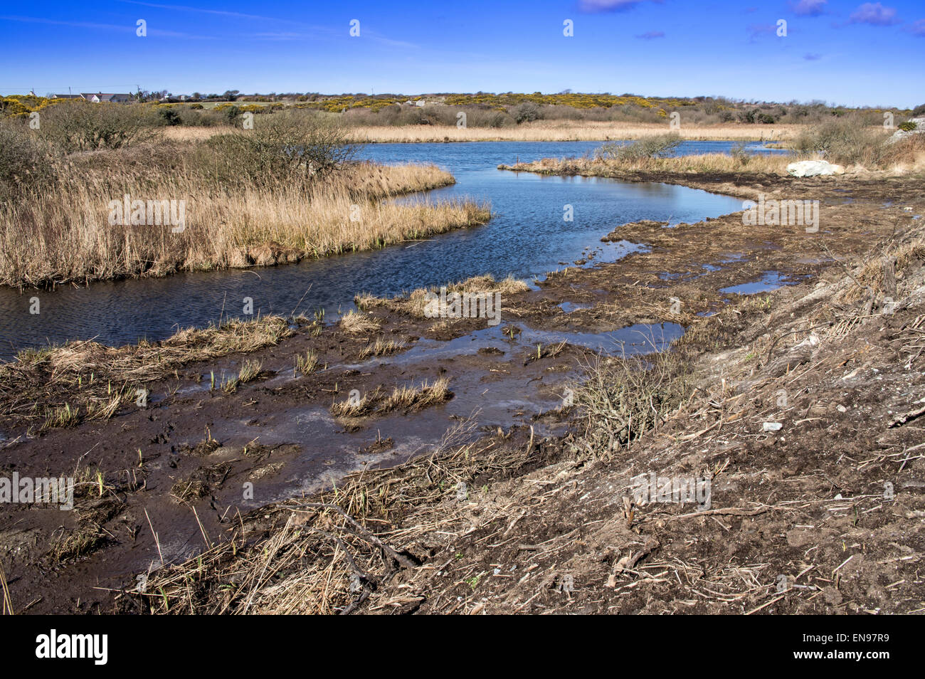 A channel has been dredged to create an island and sloping shore Stock ...