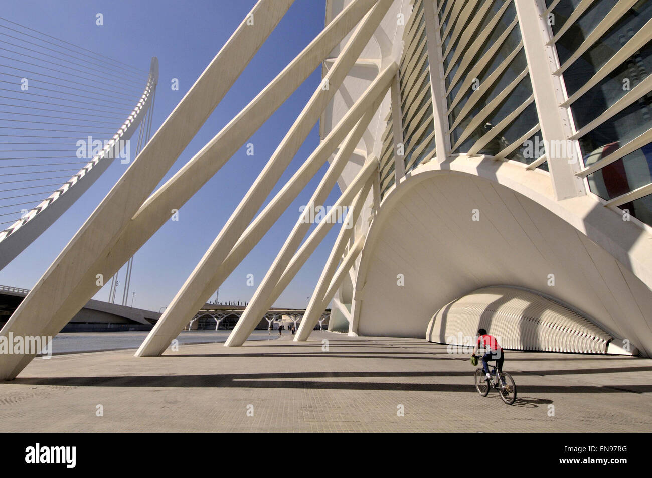 City of Arts and Sciences by Santiago Calatrava, Valencia, Comunidad ...