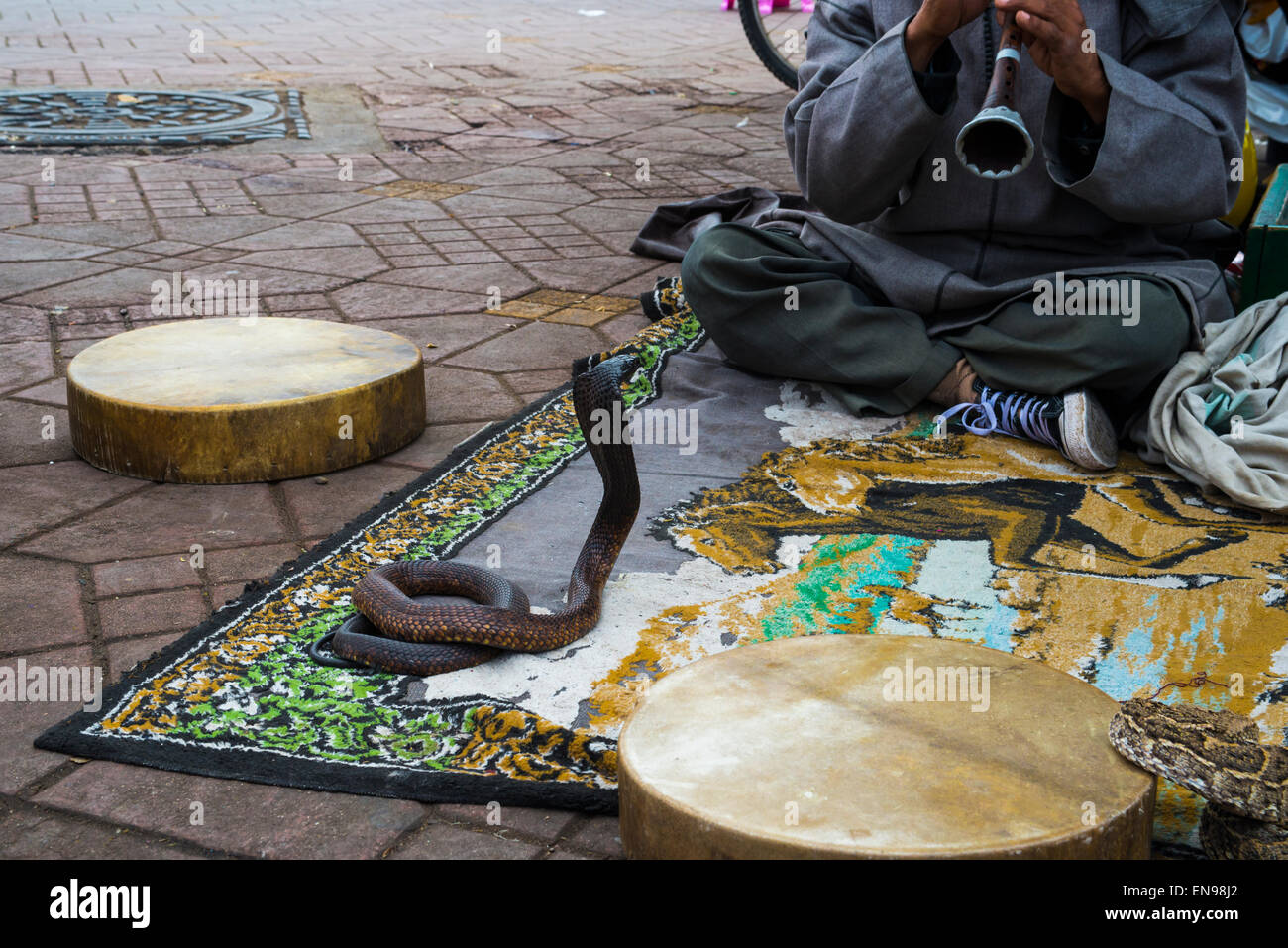 Dancing snake hi-res stock photography and images - Alamy
