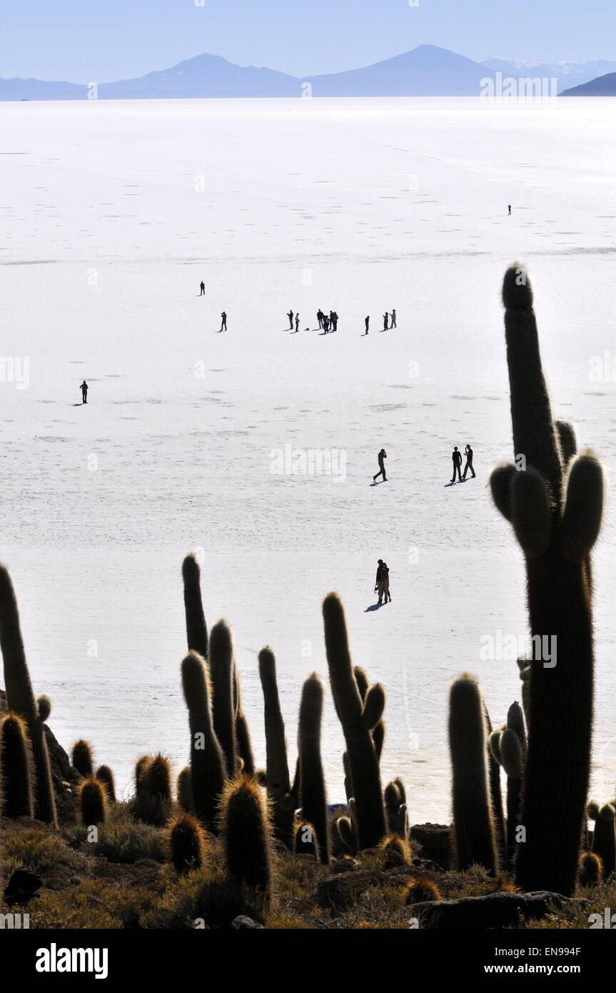 Salar de Uyuni (or Salar de Tunupa) Potosí and Oruro departments ...