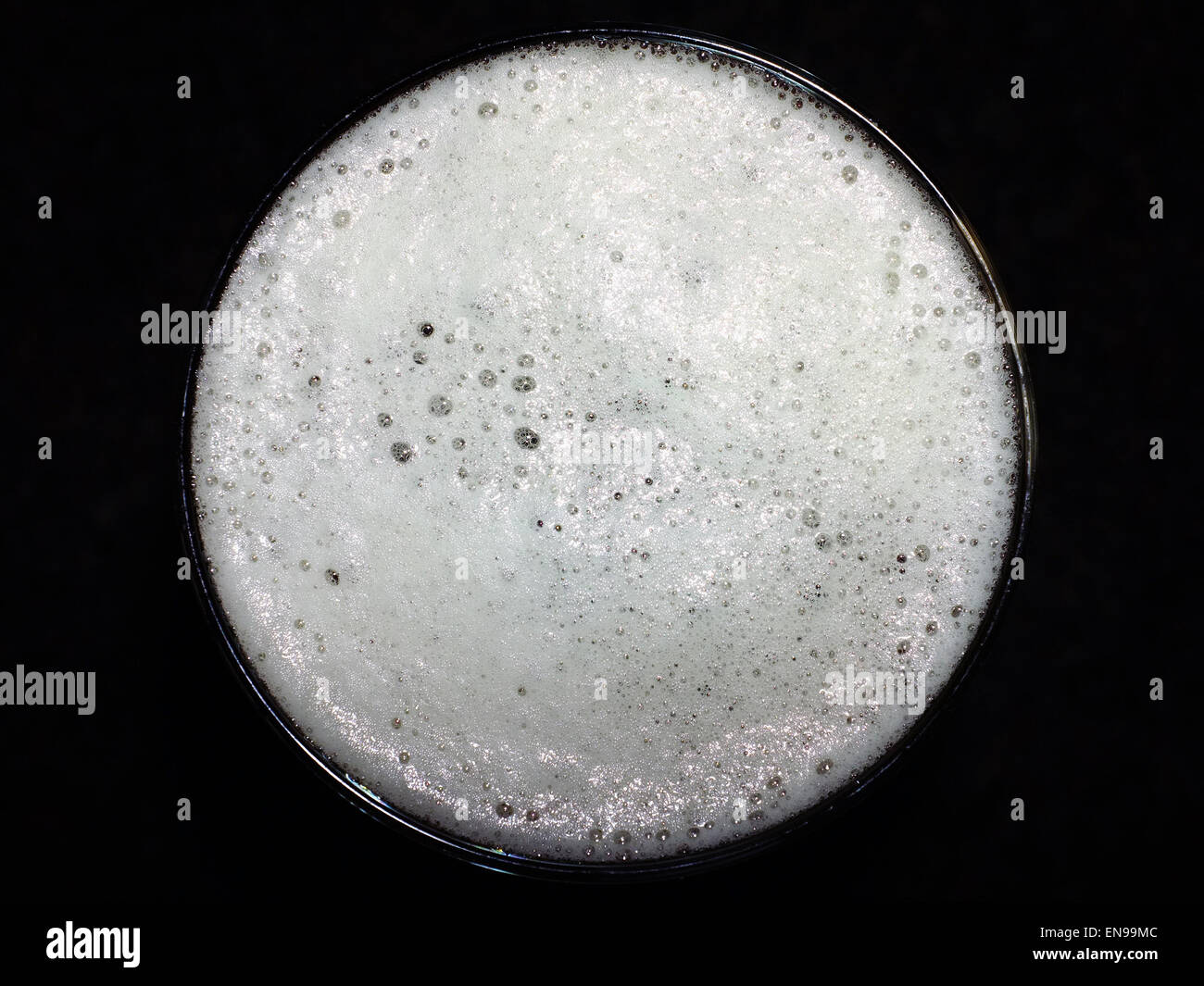 An overhead view of the head on the top of a glass of beer photographed ...