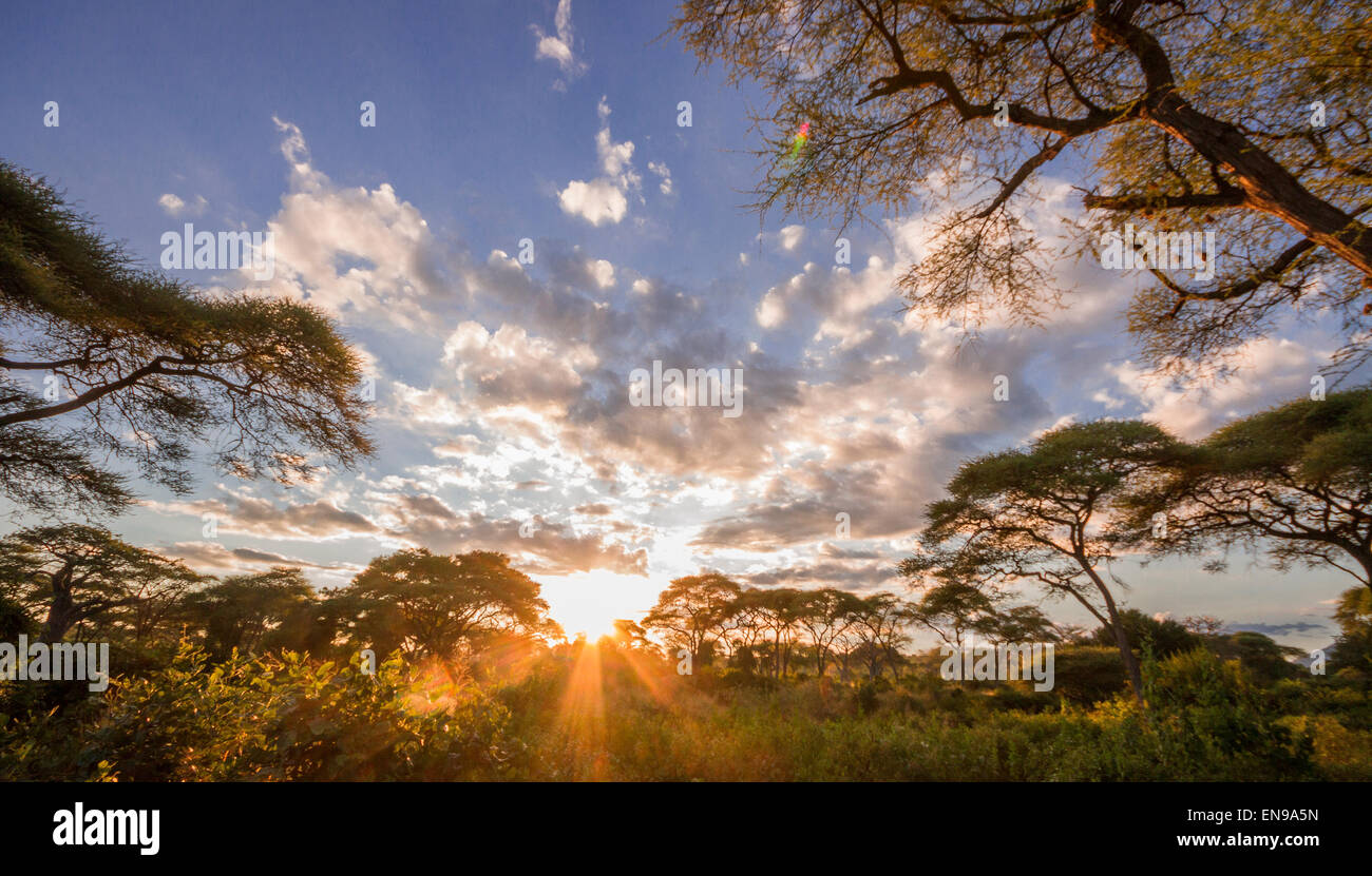 Tandala tented camp hi-res stock photography and images - Alamy