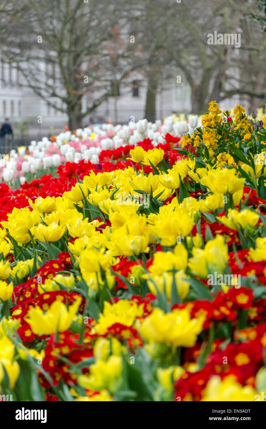St jamess park flowers hi-res stock photography and images - Alamy