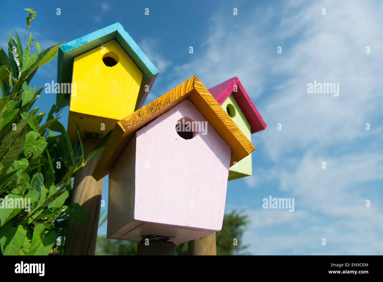 Colorful wooden birdhouses outdoor Stock Photo - Alamy