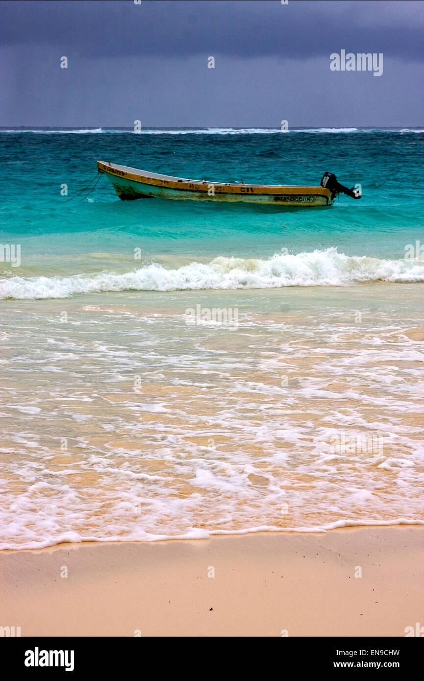 beach seaweed boat and coastline in playa paradiso mexico Stock Photo ...