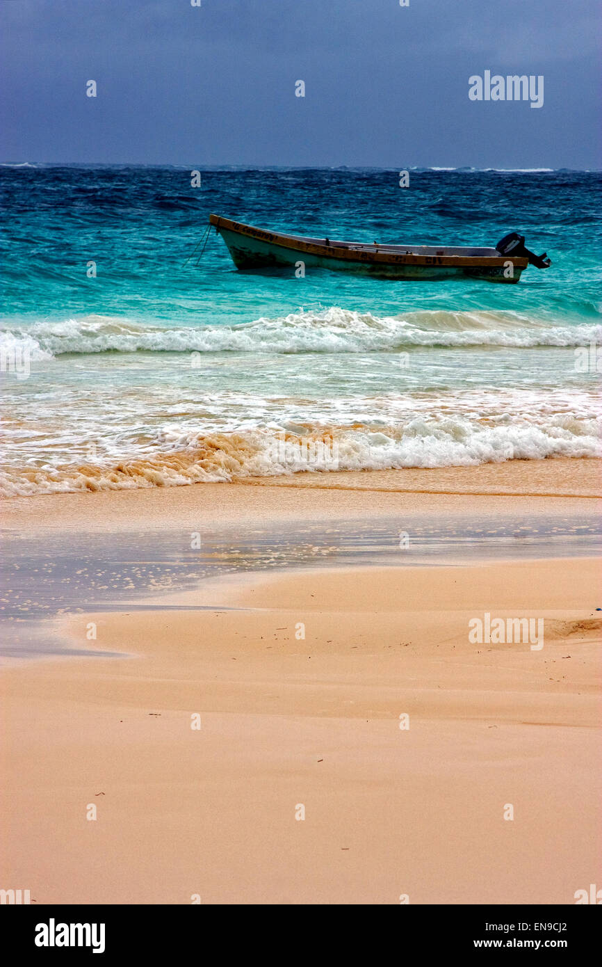 beach seaweed boat and coastline in playa paradiso mexico Stock Photo ...