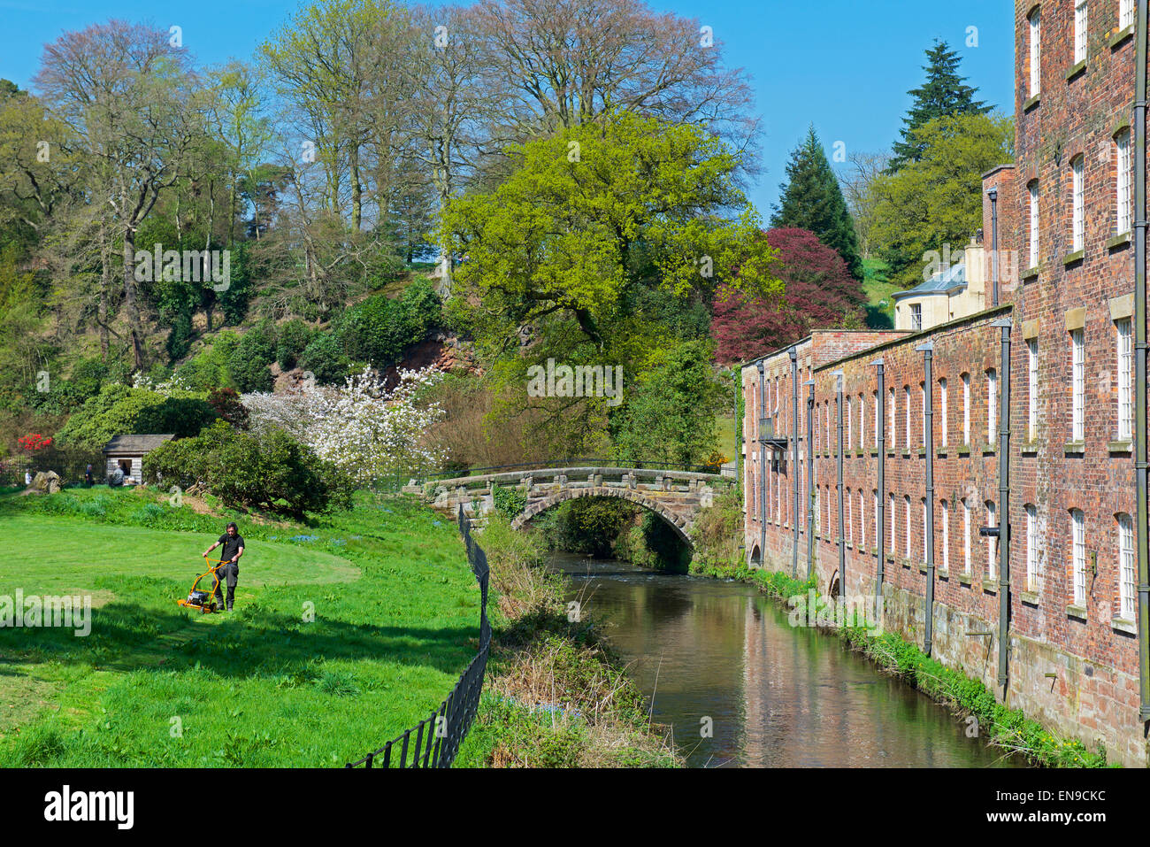 Man mowing grass at Quarry Bank Mill, a National Trust property, Styal ...