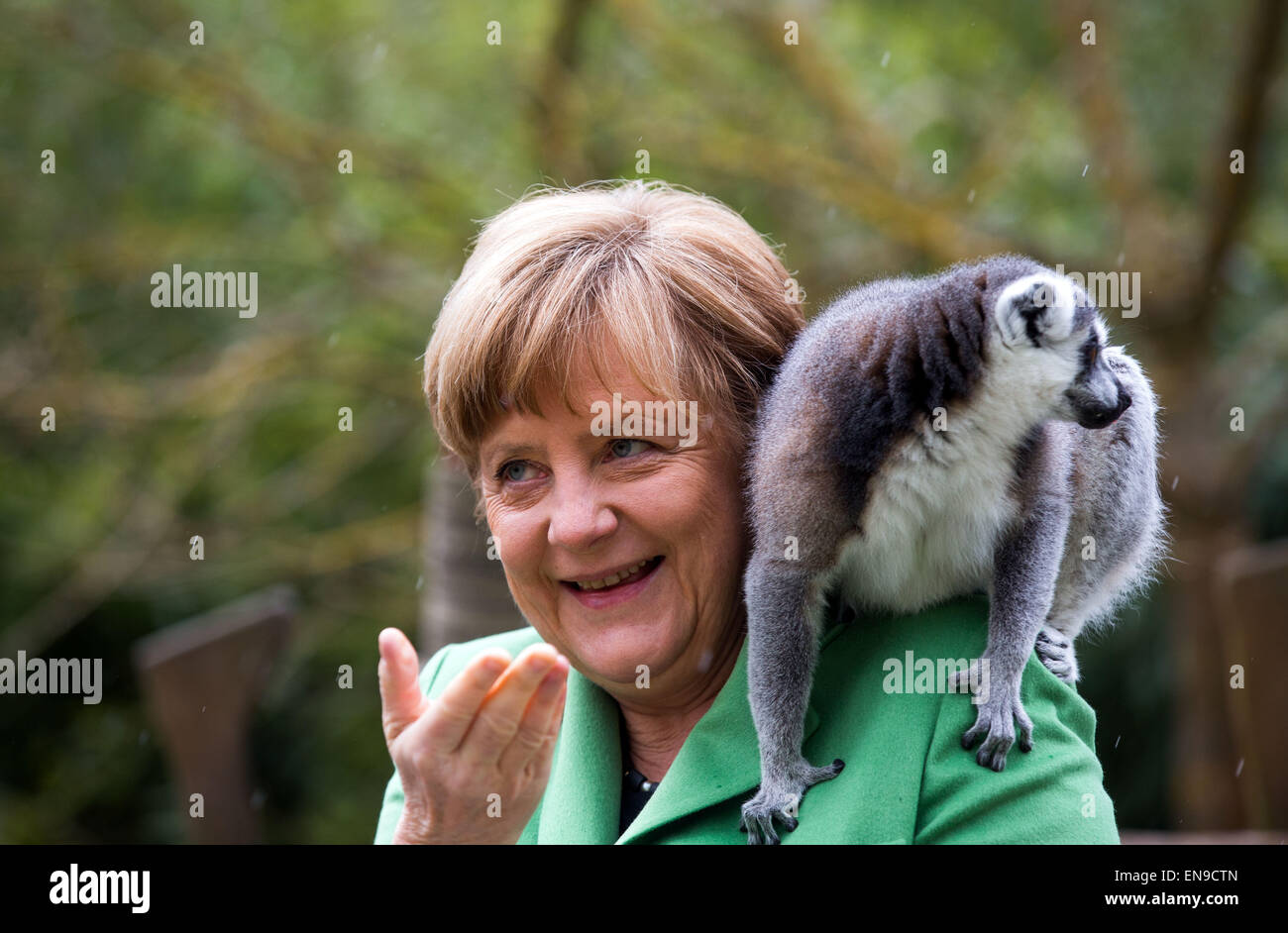 German chancellor angela merkel feeds hi-res stock photography and ...