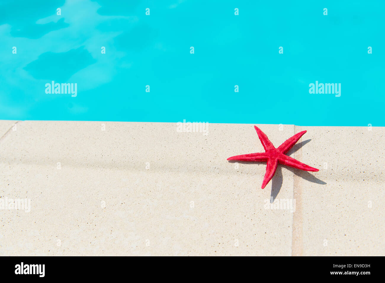 Summer vacation at the swimming pool Stock Photo - Alamy